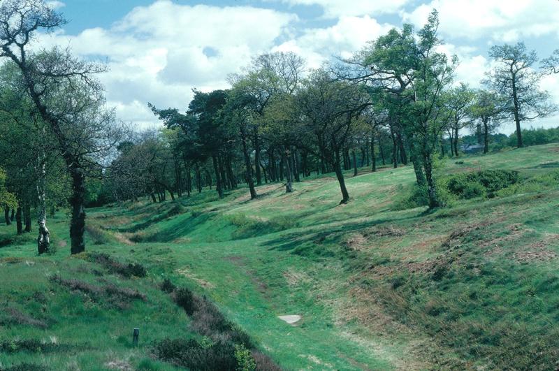 Sites and Monument Record: Rough Castle Roman Fort (SMR 520) - Falkirk ...