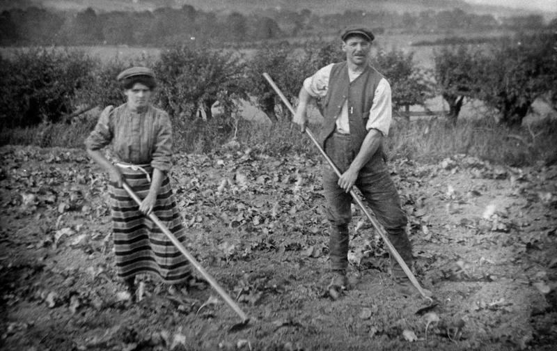 "Hoeing" - Falkirk Council