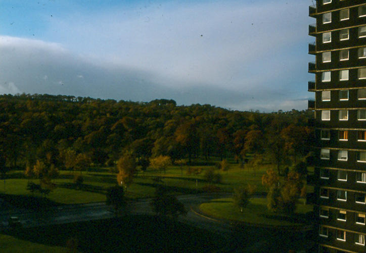 Callendar Estate from block of flats - Falkirk Council