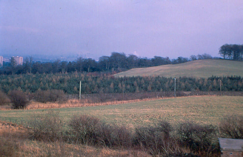 Callendar Woods, Callendar Estate, Falkirk - Falkirk Council