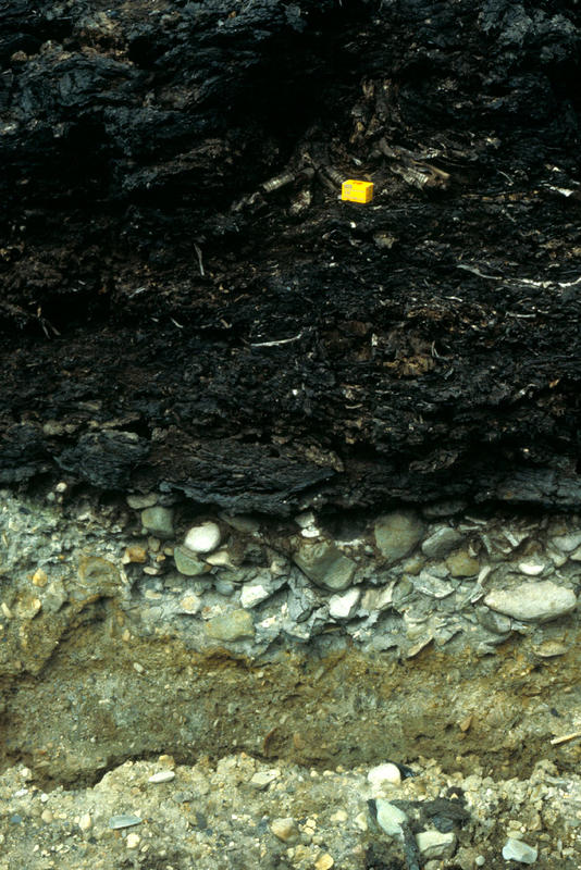 Foggermountain open cast coal mine - Falkirk Council