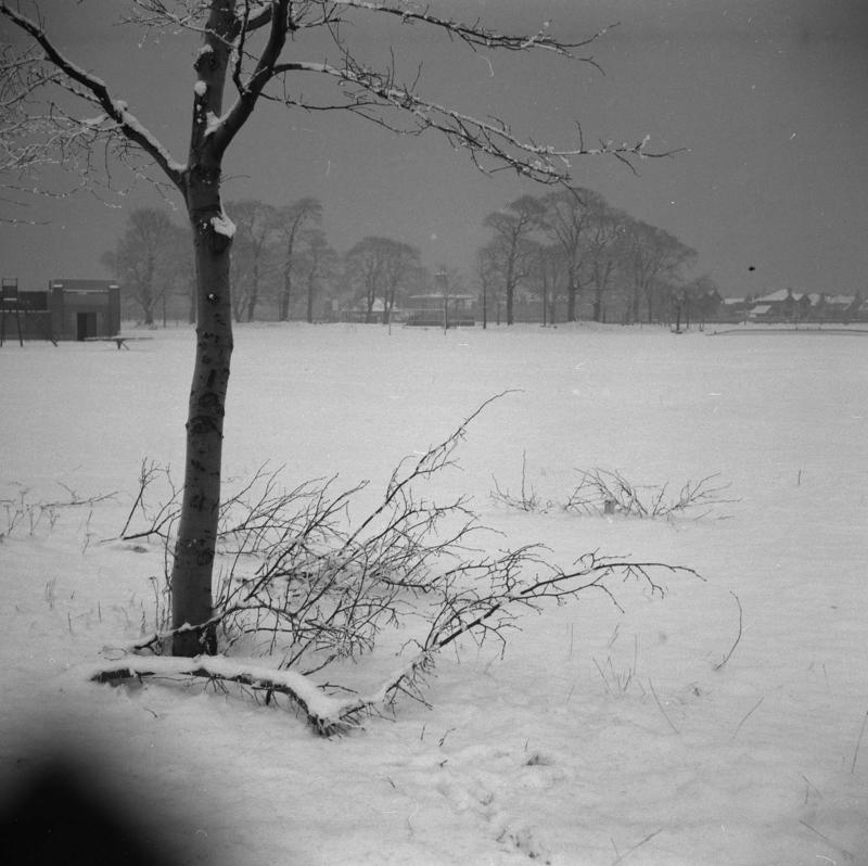 Snow, Zetland Park - Falkirk Council