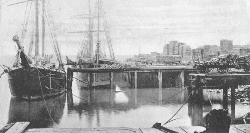 "Lower Wharves, South Alloa harbour" - Falkirk Council