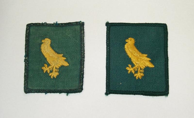 badge; scout - Falkirk Council