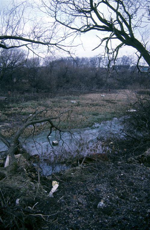 Carron Dams – unauthorised development - Falkirk Council