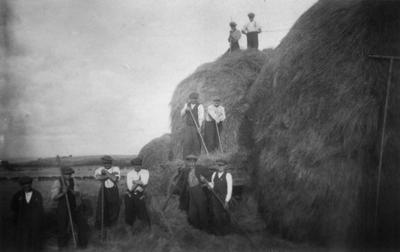 Hay stack being built, Pirley Hill Farm, Shieldhill - Falkirk Council