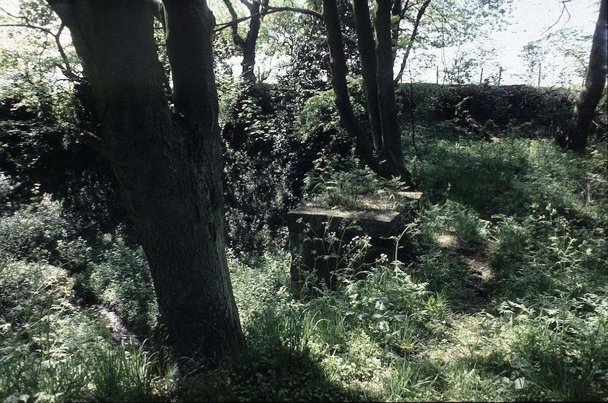 Carriden House Sawmill sluice gate - Falkirk Council