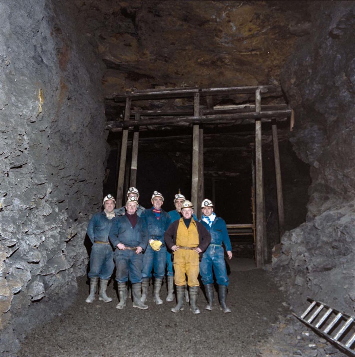 Birkhill Clay Mine - Falkirk Council