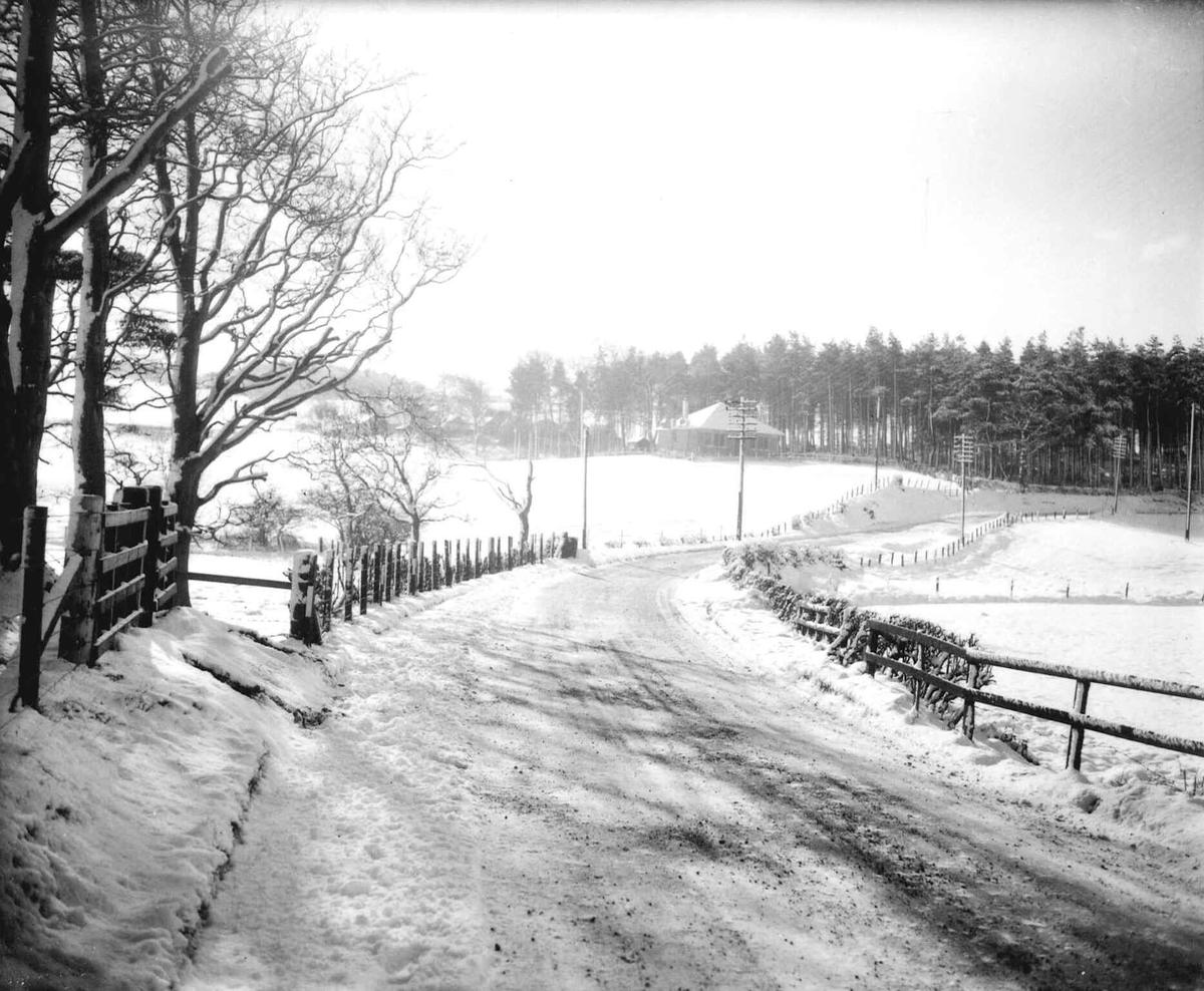 Country road in snow - Falkirk Council