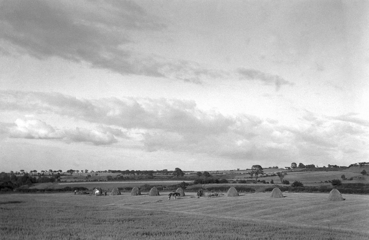 Site of Grangemouth aerodrome - Falkirk Council