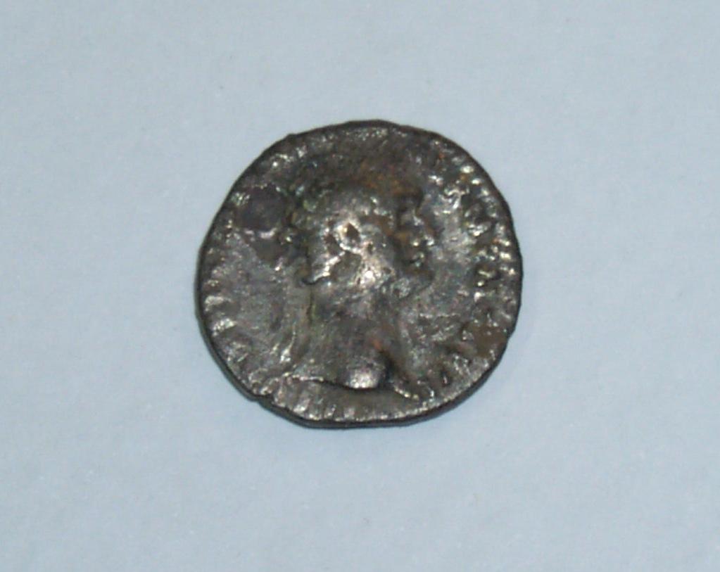 coin; denarius - Falkirk Council