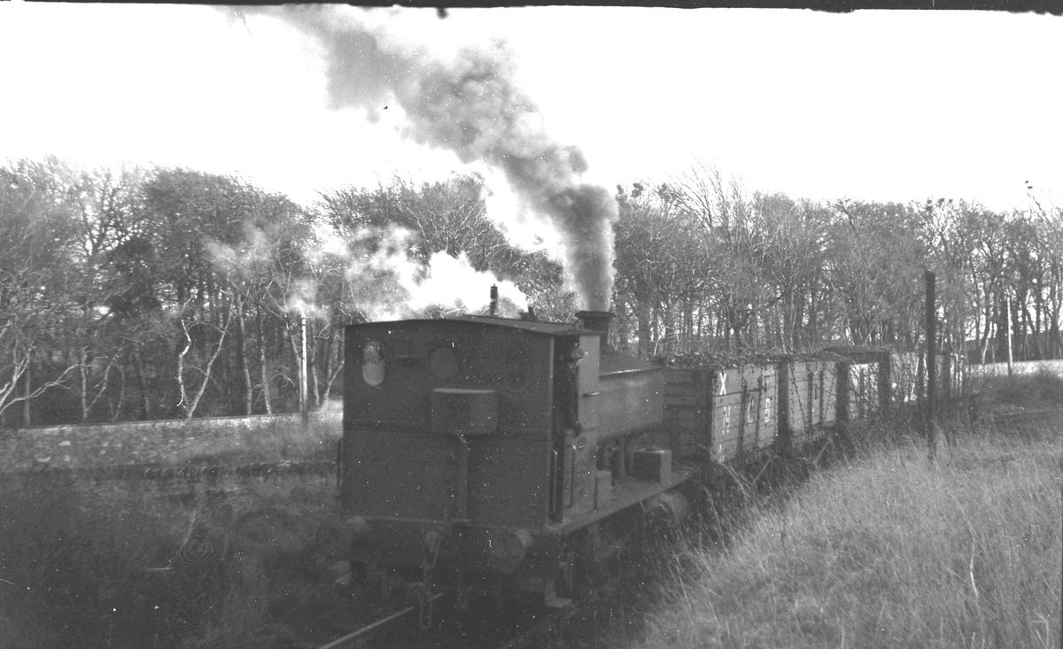 Pug steam locomotive with goods wagons at the National Coal Board ...