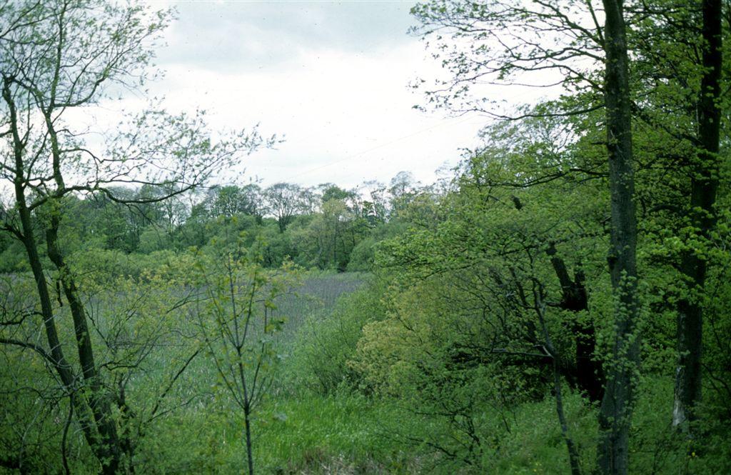 Carron Dams - Falkirk Council