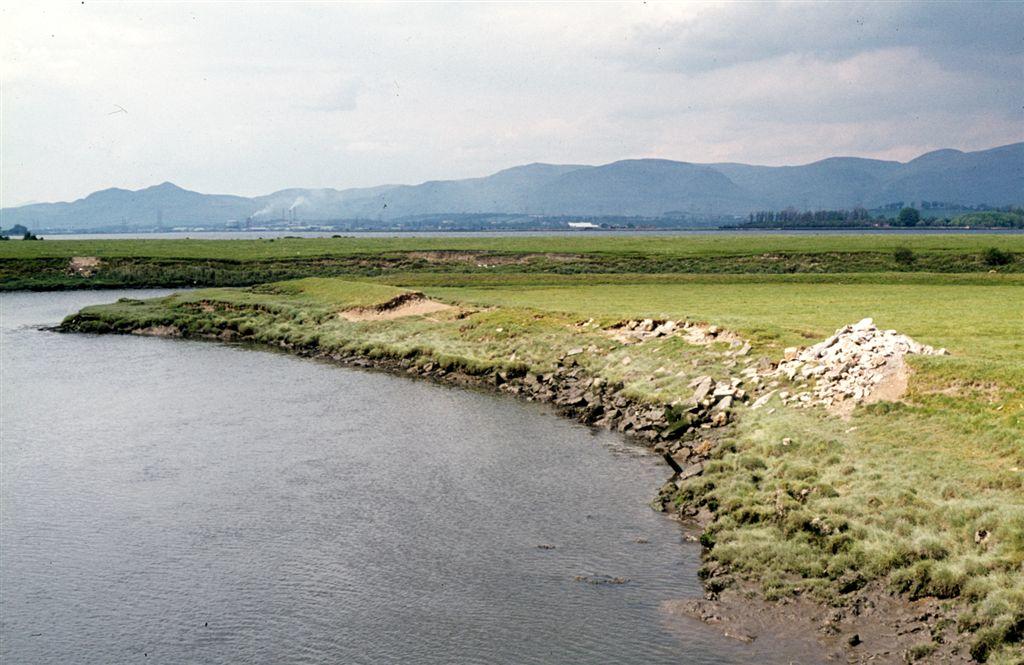 SSSI (Site of Special Scientific Interest) in south east Airth, looking ...