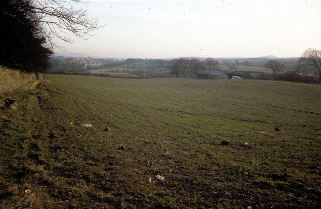 Callendar Wood Wall - Falkirk Council